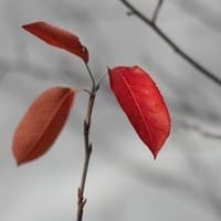 The three core conditions | Torbay Psychotherapy